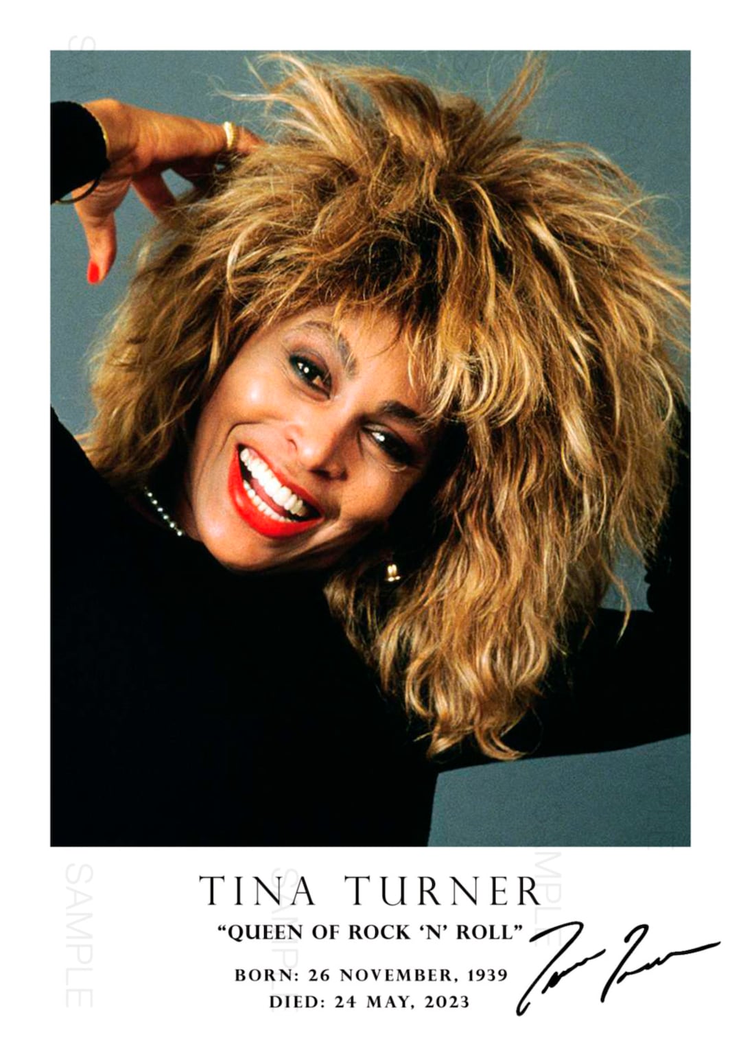 Tina Turner Poster Tina Turner Tribute Print Memorabilia 2 Signed copy ...