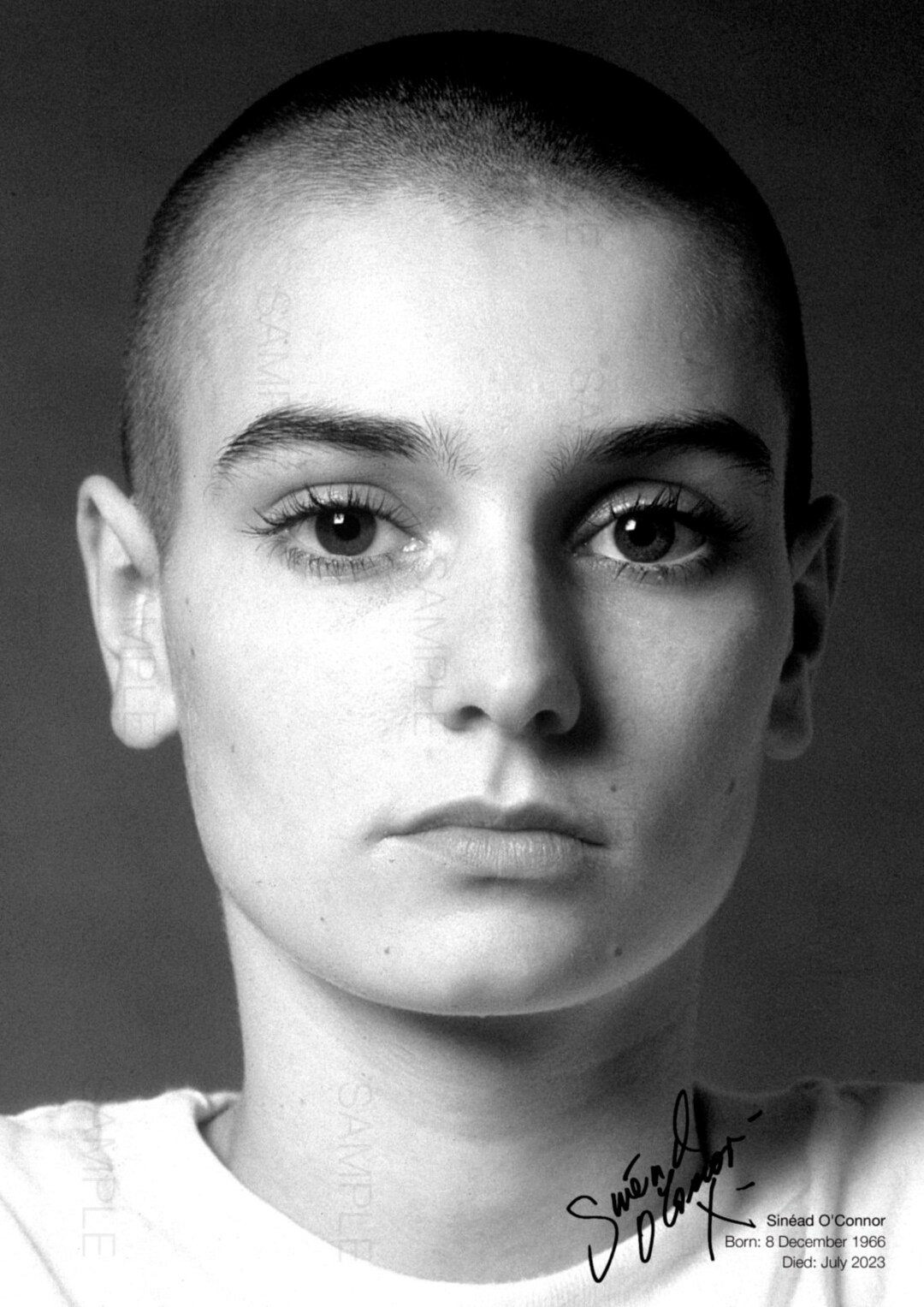 Top Selling Sinéad O'connor Poster Wall Art Print Signed - Etsy