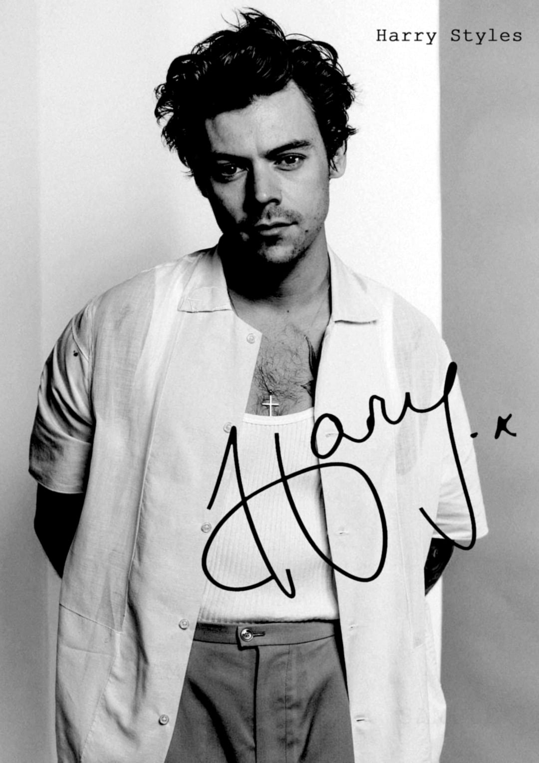 Harry Styles Poster Wal Lart Black and White Signed copy - Etsy UK
