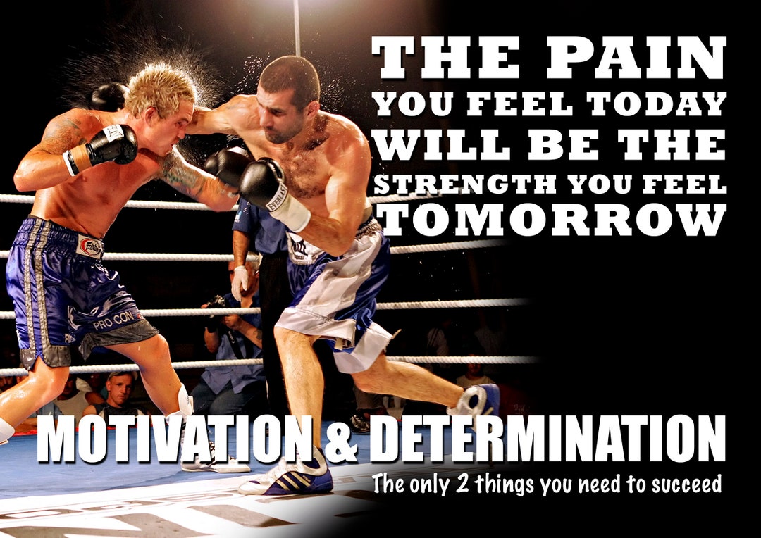 Boxing Motivational Poster 'the Pain You Feel' Quote Wall Art Print 114 ...