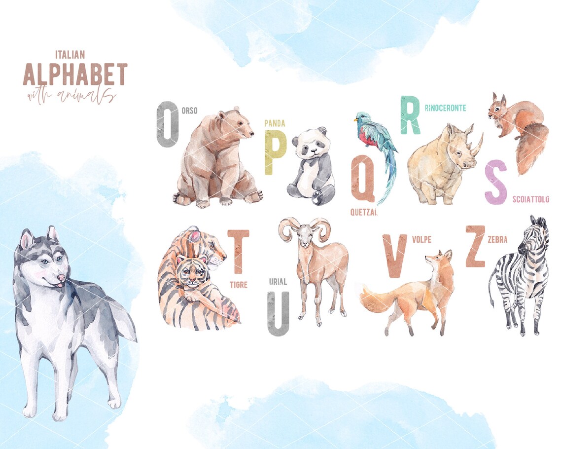Italian Alphabet with AnimalsWatercolor animal | Etsy