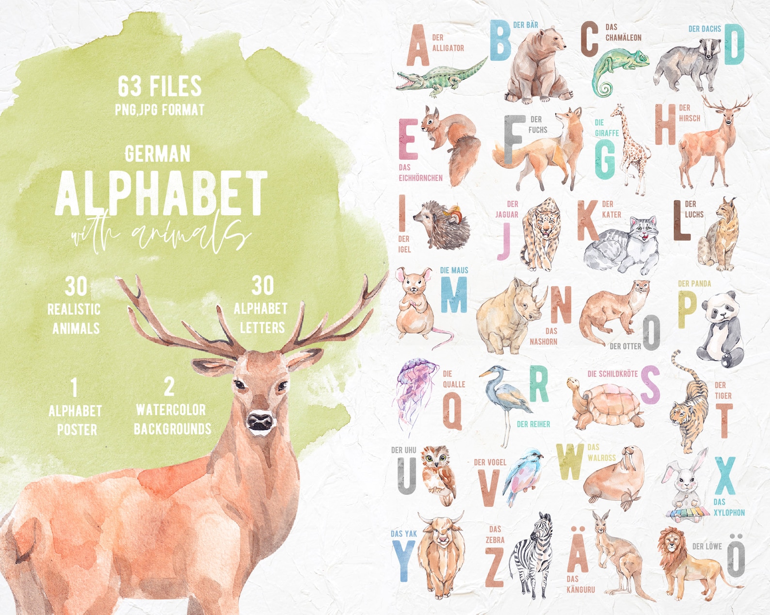 German Alphabet with AnimalsWatercolor animal | Etsy