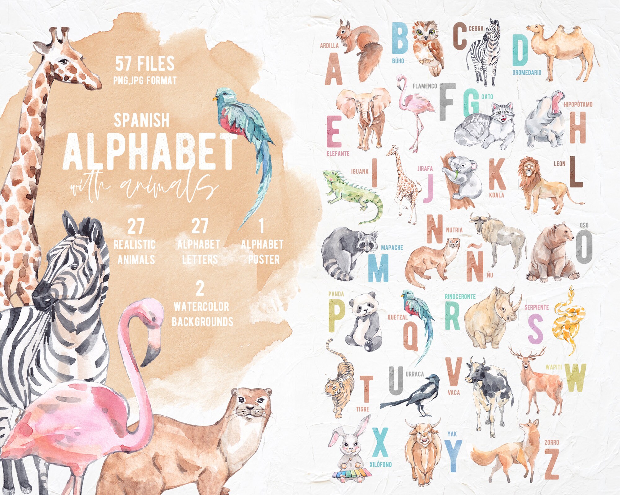 Spanish Alphabet Animals Posters | Spanish Alphabet 8EC