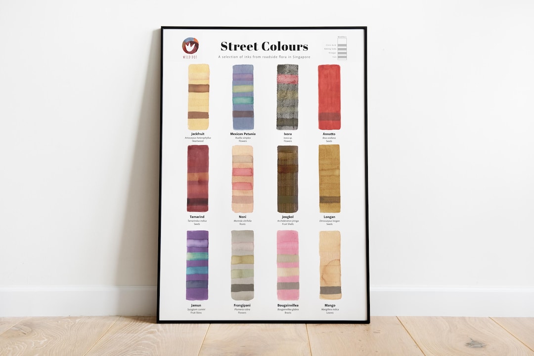 Street Colours of Singapore Poster - Etsy