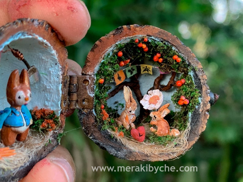 Miniature Bunny House Inside a Nutshell, Miniature Rabbits, Pocket ...