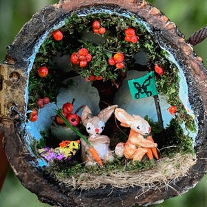 Miniature Scene Inside a Nutshell, Nutshell Fairy House, Miniature ...