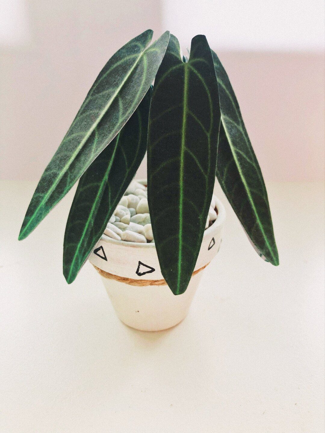 Paper Plant Anthurium - Etsy