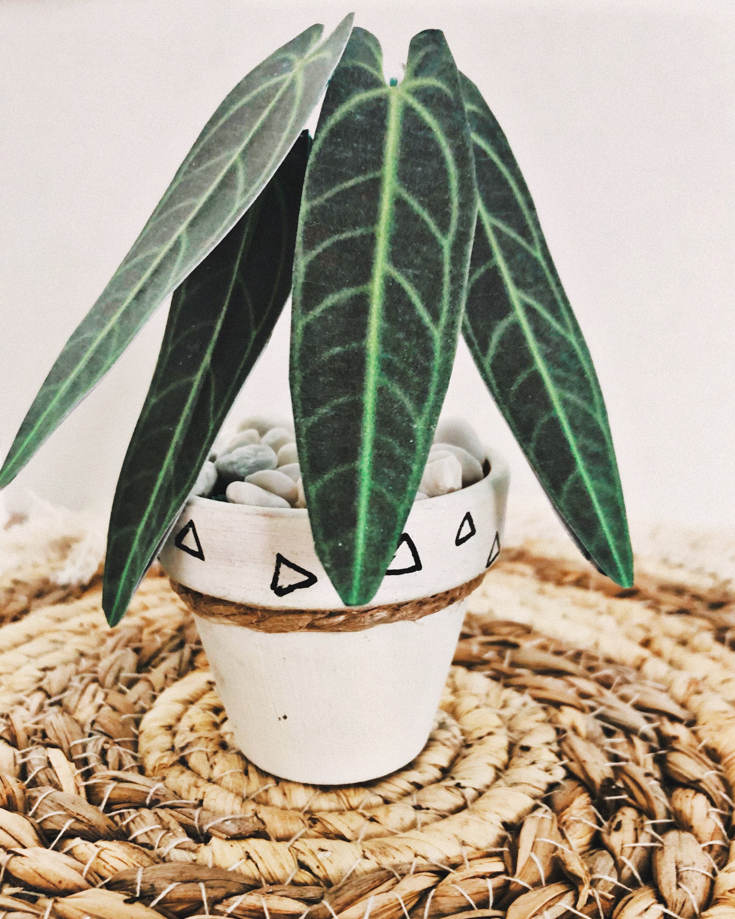 Paper Plant Anthurium - Etsy