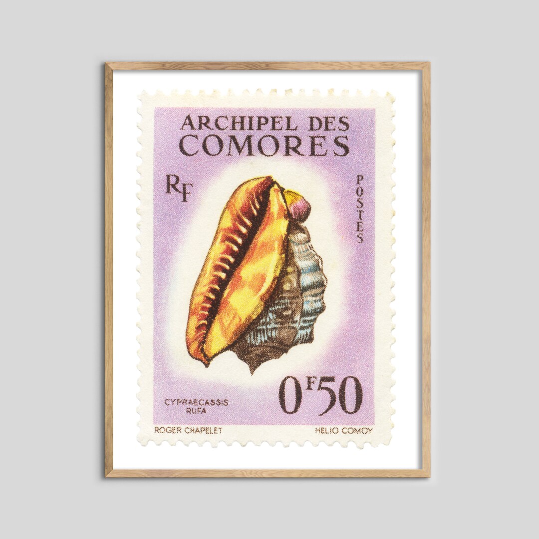 Comores Shell Stamp Print - Etsy