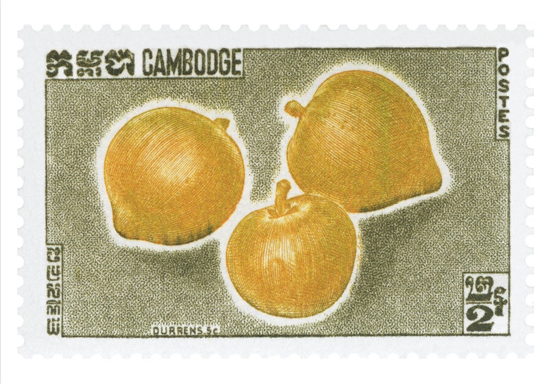 Cambodia Durren Stamp Print - Etsy