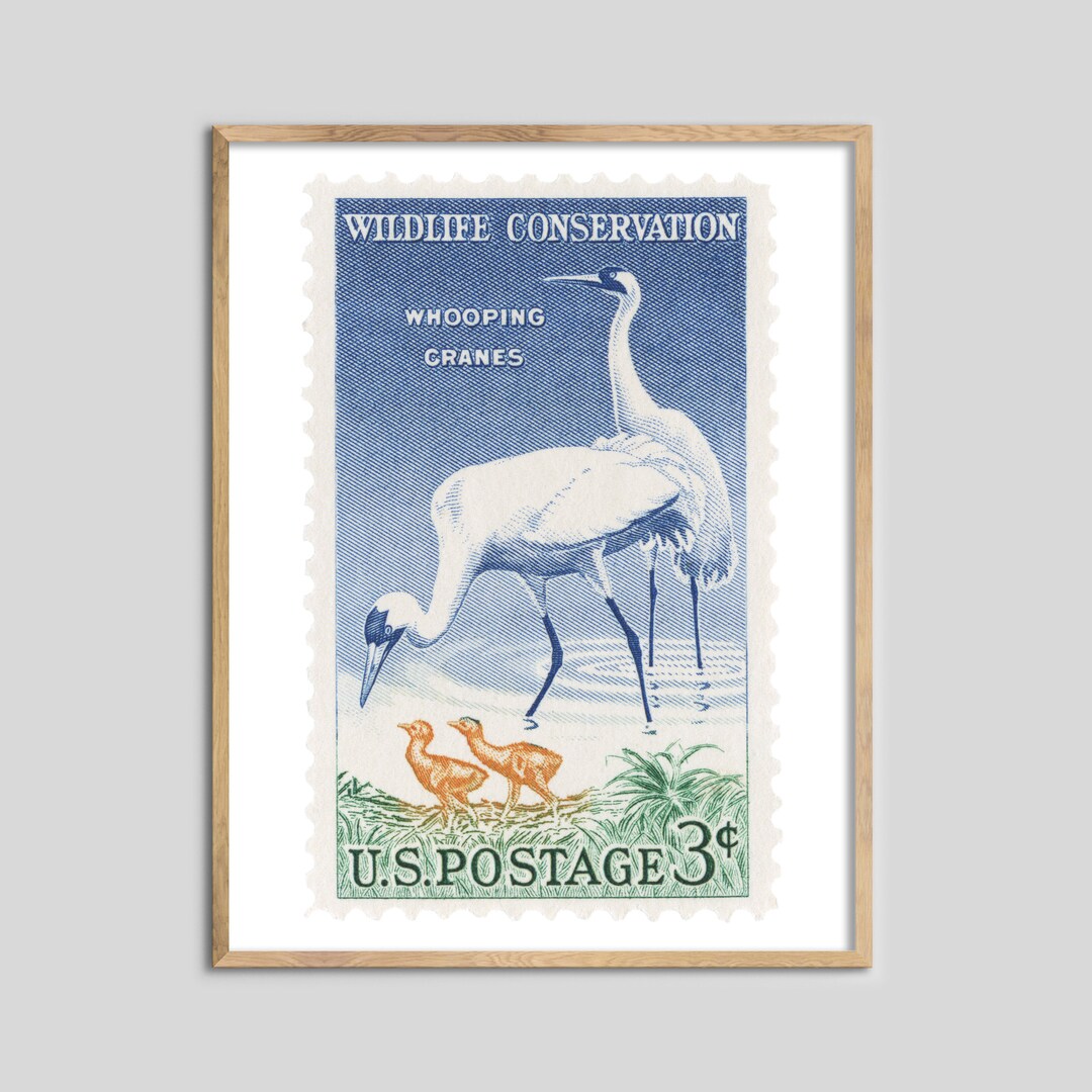 USA Whooping Cranes Stamp Print - Etsy