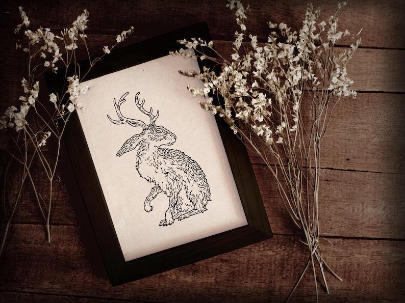 Cryptid. Jackalope. Digital Download for Tattoo and Home Print. - Etsy