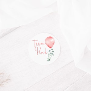 Team Blue Team Pink Gender Reveal Stickers, Balloon Theme Gender Reveal ...