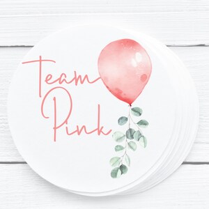 Team Blue Team Pink Gender Reveal Stickers, Balloon Theme Gender Reveal ...