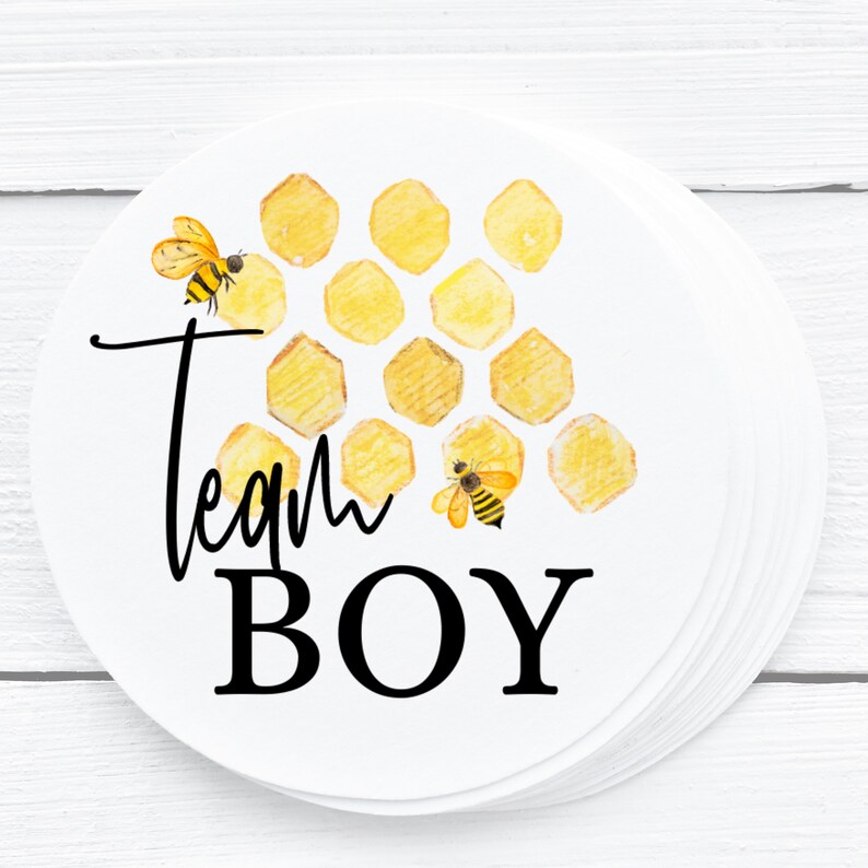 Team BOY and Team Girl Bee Theme Gender Reveal Stickers - Etsy