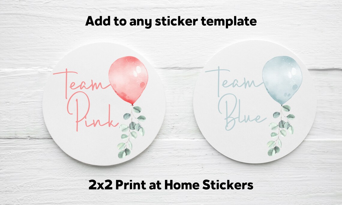 Team Blue Team Pink Gender Reveal Stickers Balloon Theme - Etsy