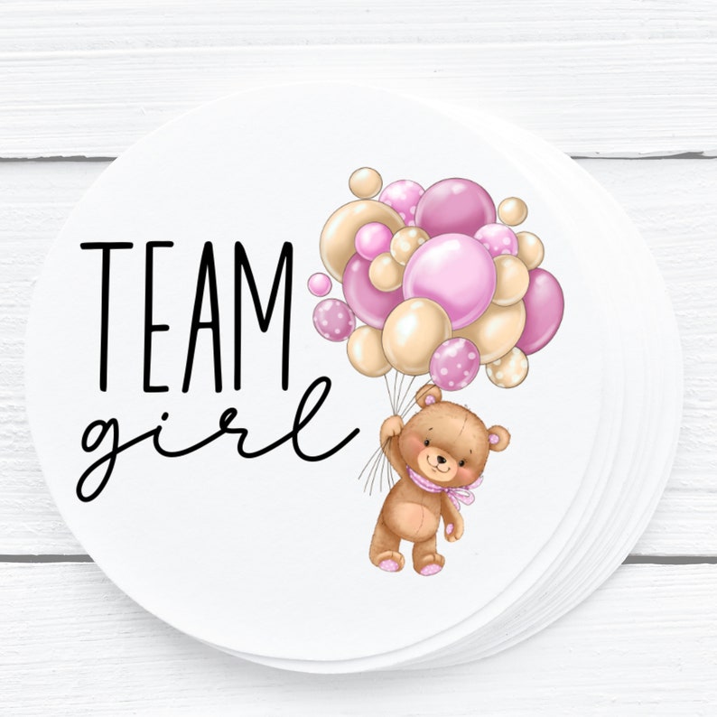 Team Boy and Team Girl Bear Themed Gender Reveal Stickers - Etsy