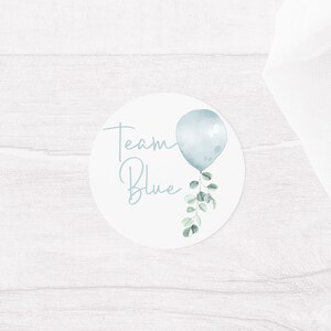 Team Blue Team Pink Gender Reveal Stickers, Balloon Theme Gender Reveal ...