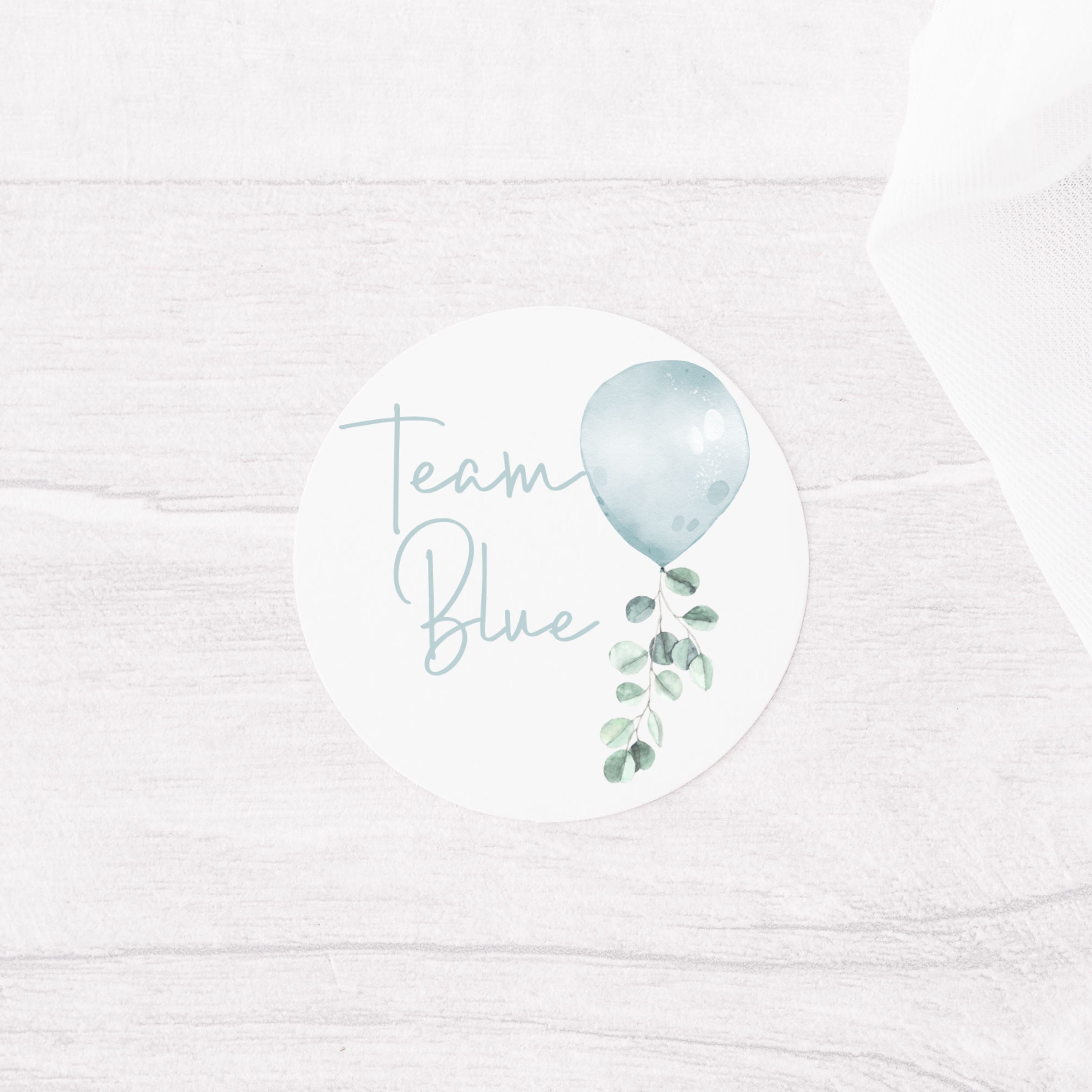 Team Blue Team Pink Gender Reveal Stickers Balloon Theme - Etsy