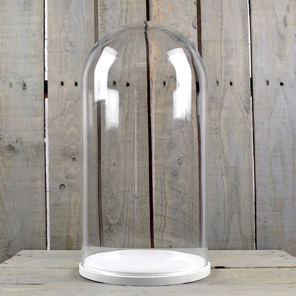 Glass Cloche Bell Jar Display Dome With Wooden Base - Etsy