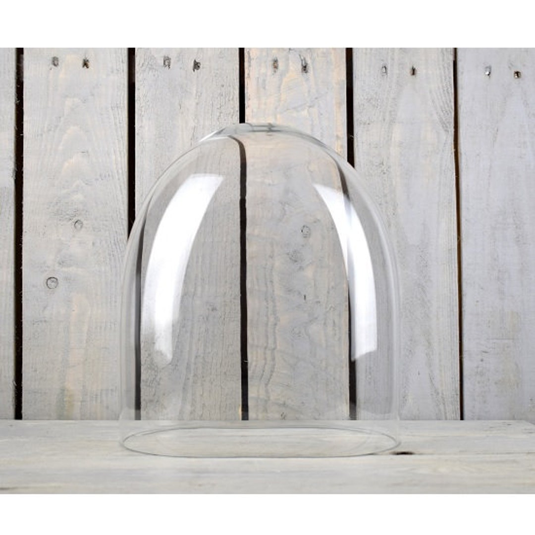 Handmade Mouth Blown Clear Oval Glass Display Cloche Bell Jar Dome - Etsy