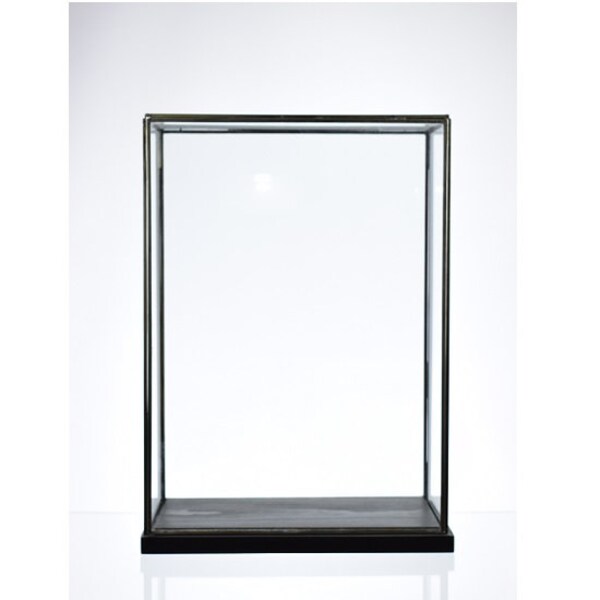 Glass Display Case - Etsy UK