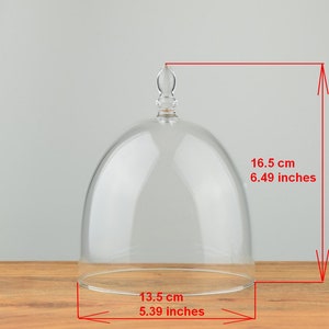 Small Glass Display Cover Cloche Dome With Knob H:16.5 Cm X 13.5 Cm - Etsy