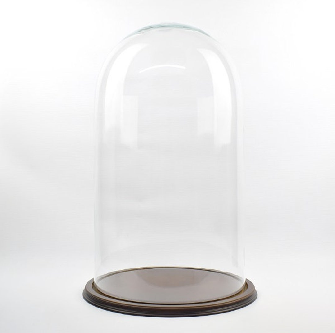 Vintage Look Large Glass Dome With Wooden Base Height 61.5 X 34.6 Cm - Etsy