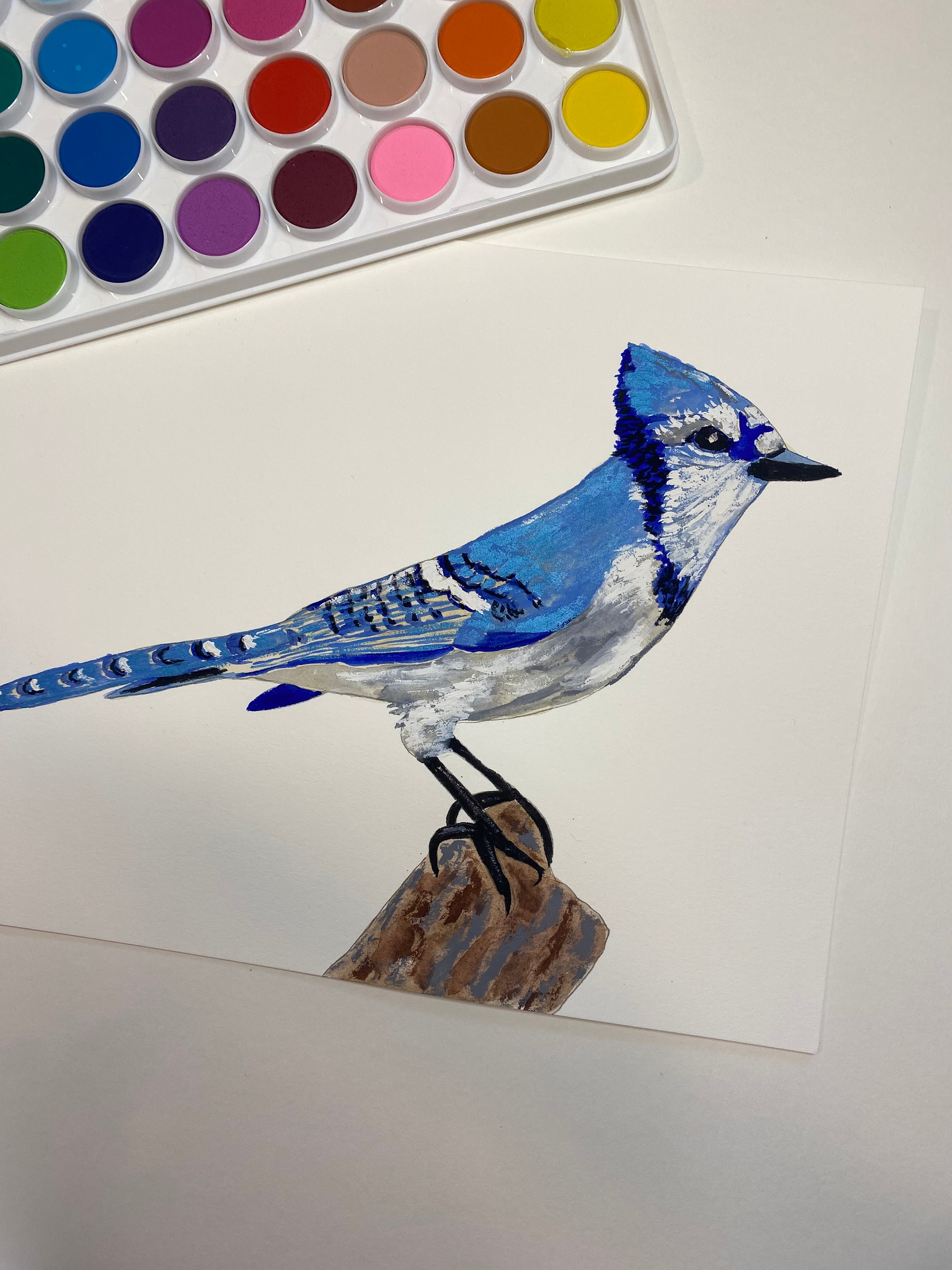 Original 8x10 Watercolor Painting of a Blue Jay, Blue Jay Art, Bird Art ...