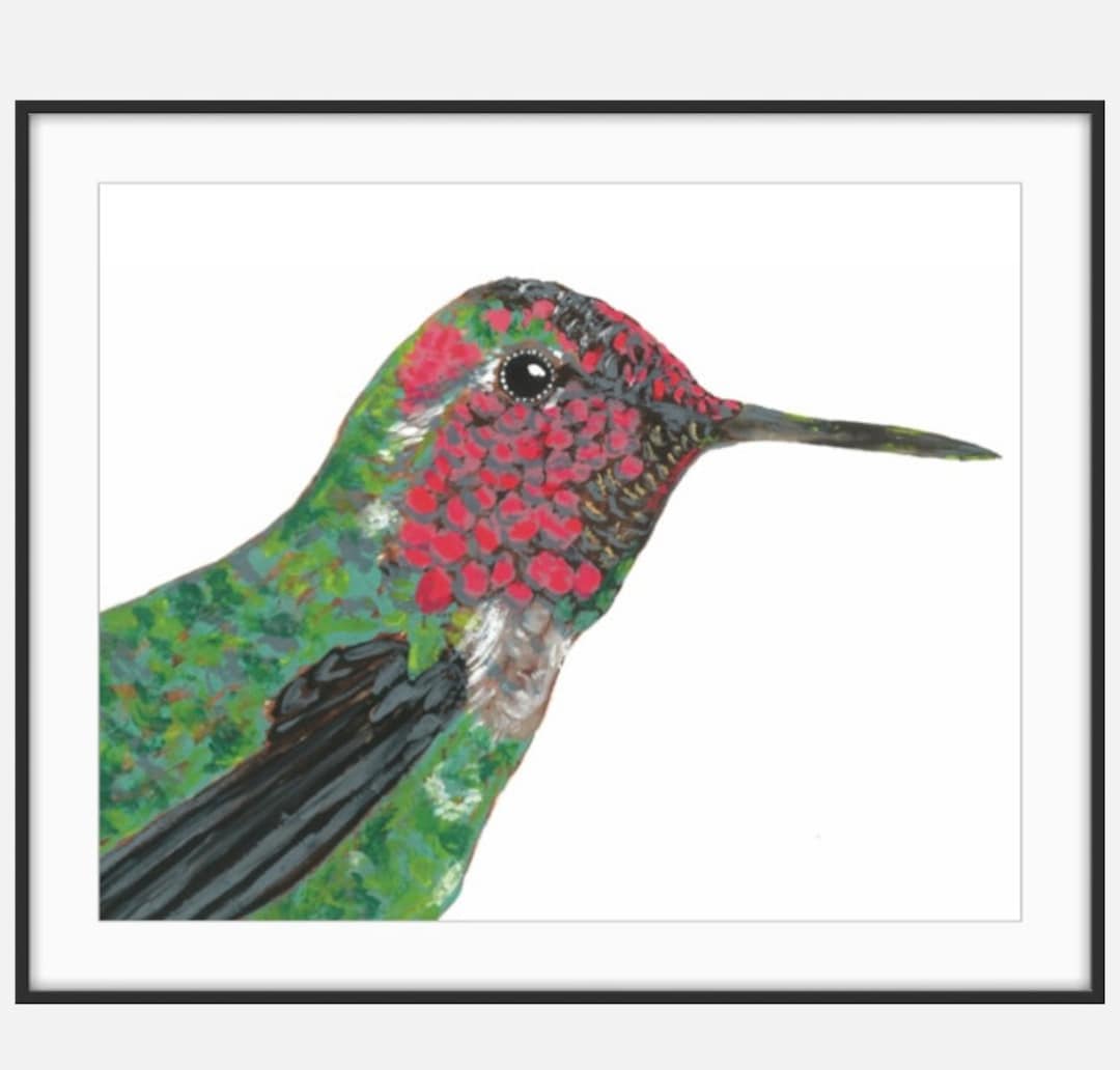 Hummingbird Fine Art Print, 8x10, Hummingbird Watercolor, Watercolor ...