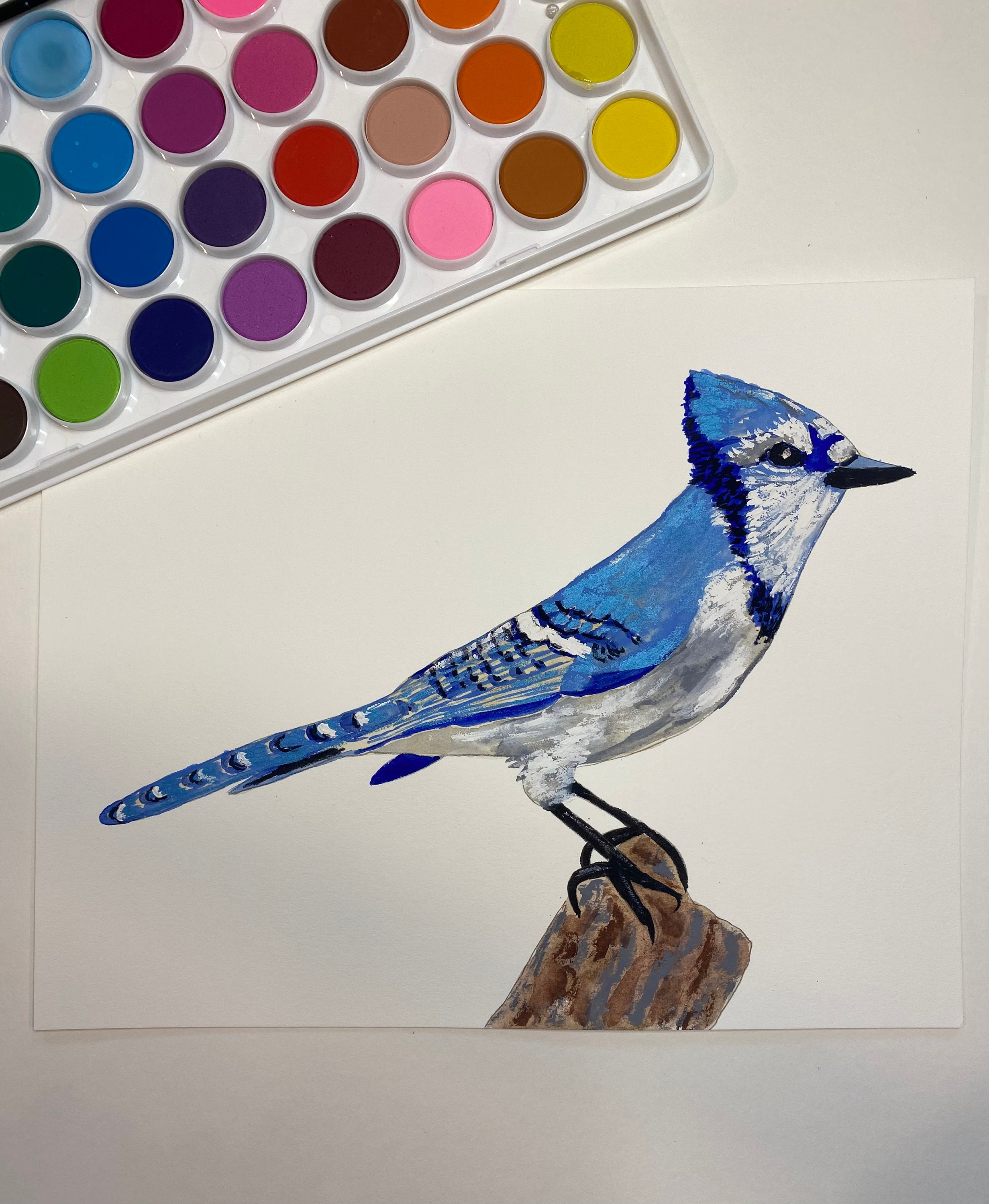 Original 8x10 Watercolor Painting of a Blue Jay, Blue Jay Art, Bird Art ...