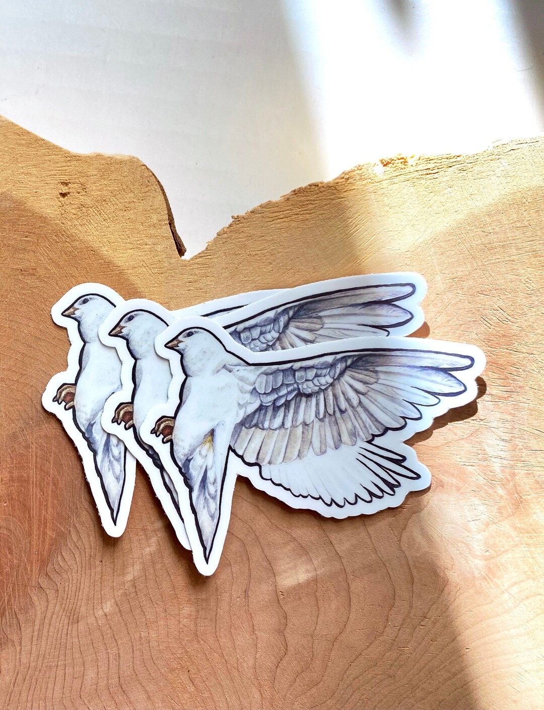 White Pigeon Sticker - Etsy