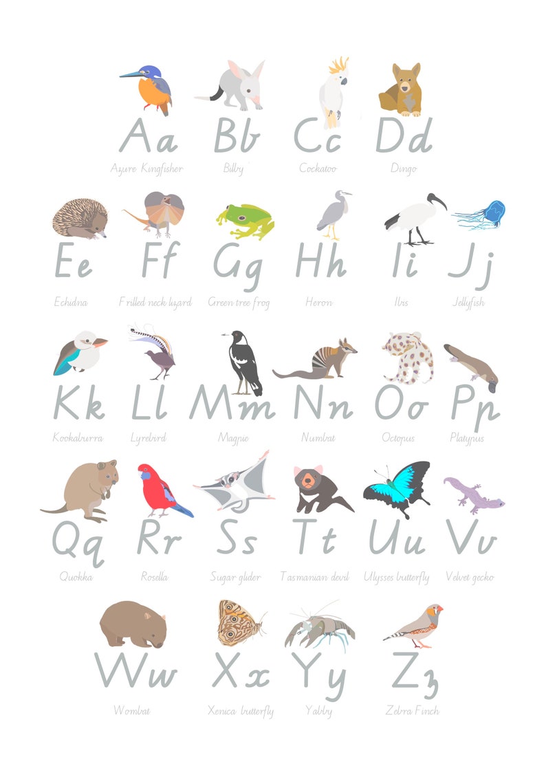 Australian Animal Alphabet. Nursery Art. Printable Poster. - Etsy