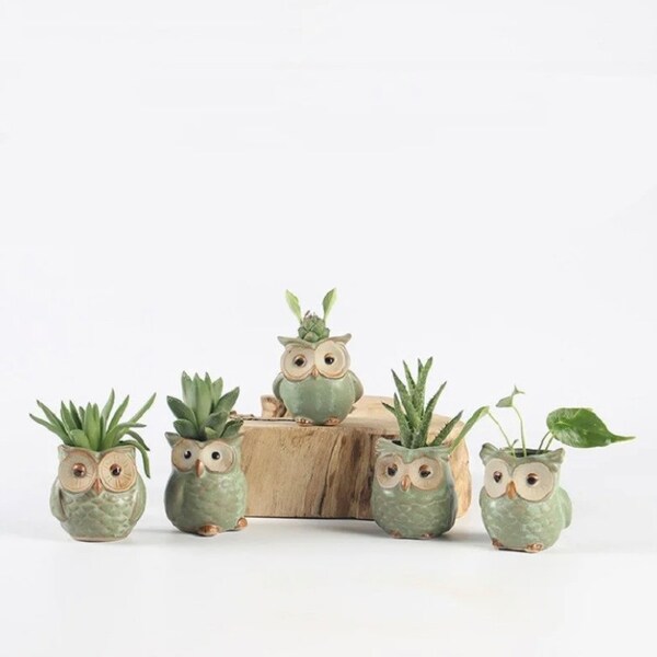 Owl Flower Pot - Etsy