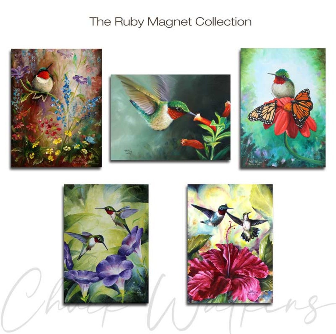 Ruby-throated Hummingbird Magnet Set, Refrigerator Magnets, Five Magnet ...
