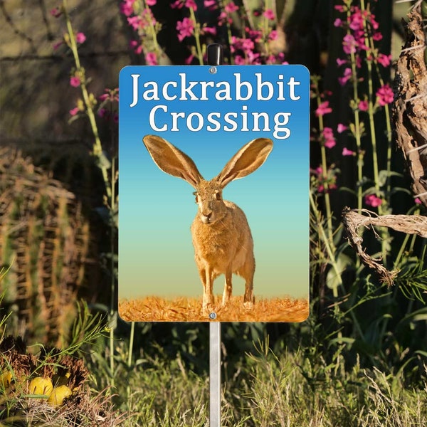 Hummingbird Crossing Sign - Etsy