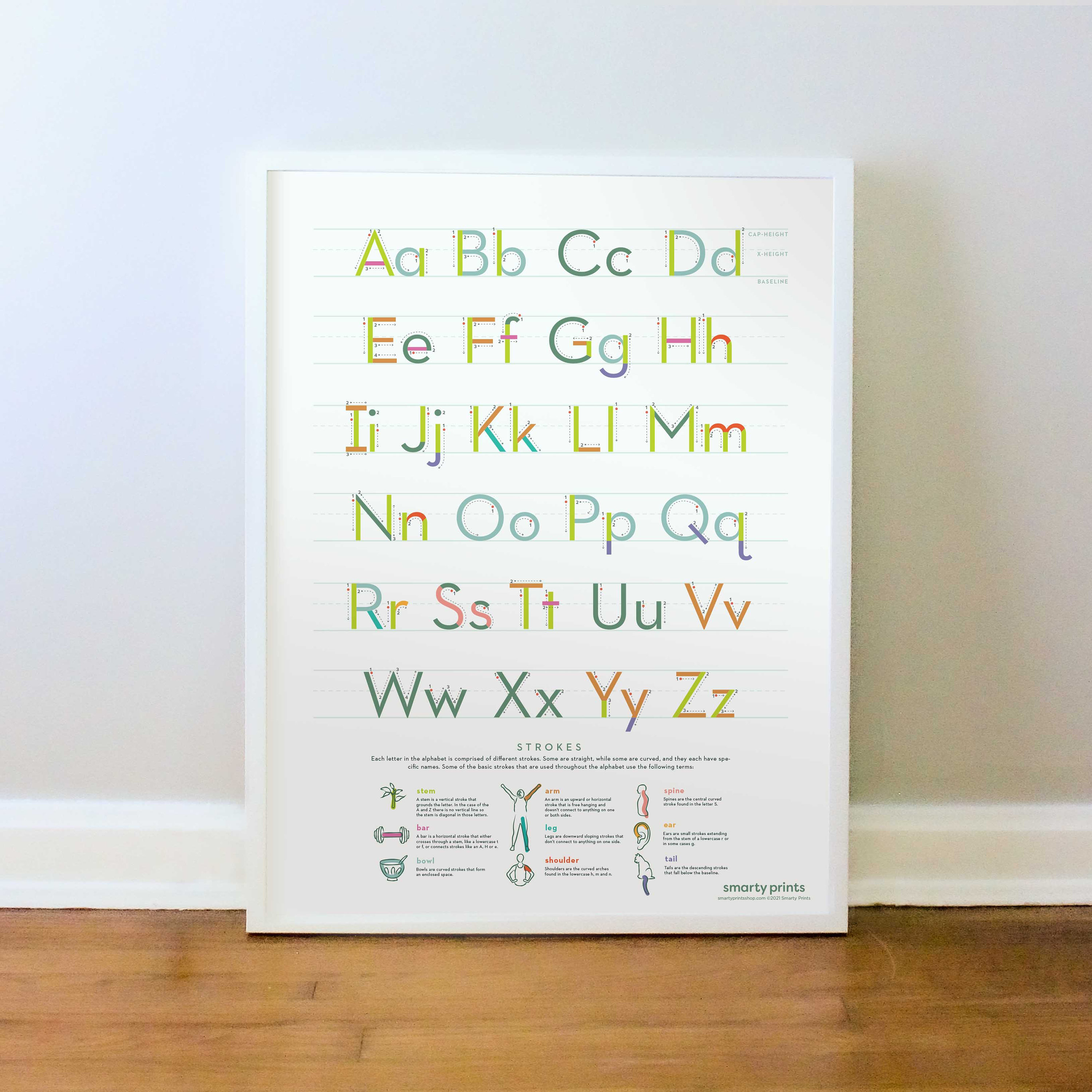 ABC Chart Teaching the Alphabet Typography Anatomy Poster - Etsy