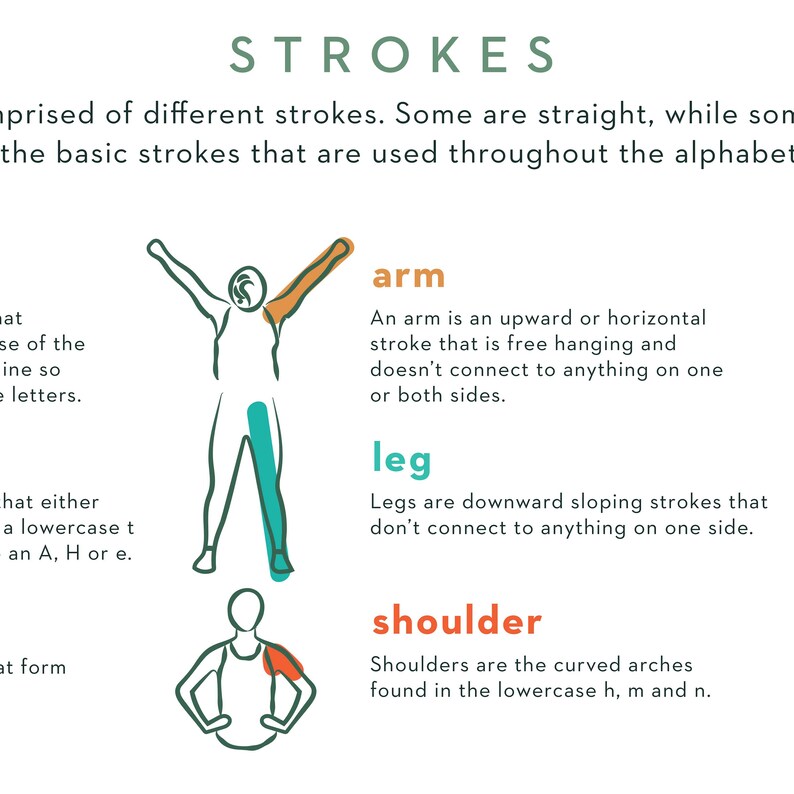 ABC Chart, Teaching the Alphabet, Typography Anatomy Poster, Classroom ...