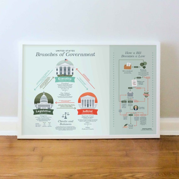 USA Government Poster US Capitol Senate White House Checks | Etsy