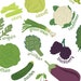 Fruits and Veggies Poster, Healthy Food Print, Eat the Rainbow ...