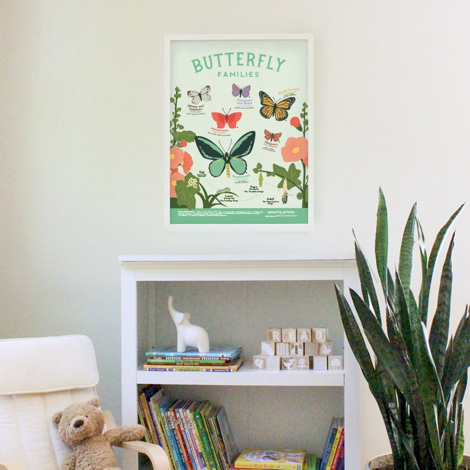 Butterfly Families and Species Poster, Butterfly Metamorphosis and Life ...