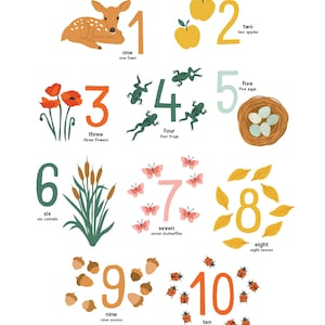 Kids Illustrated Counting Poster, Learning Numbers 1-10 Preschool ...