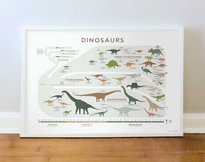 Dinosaur Evolution Educational Poster Laminated for Quality - Etsy