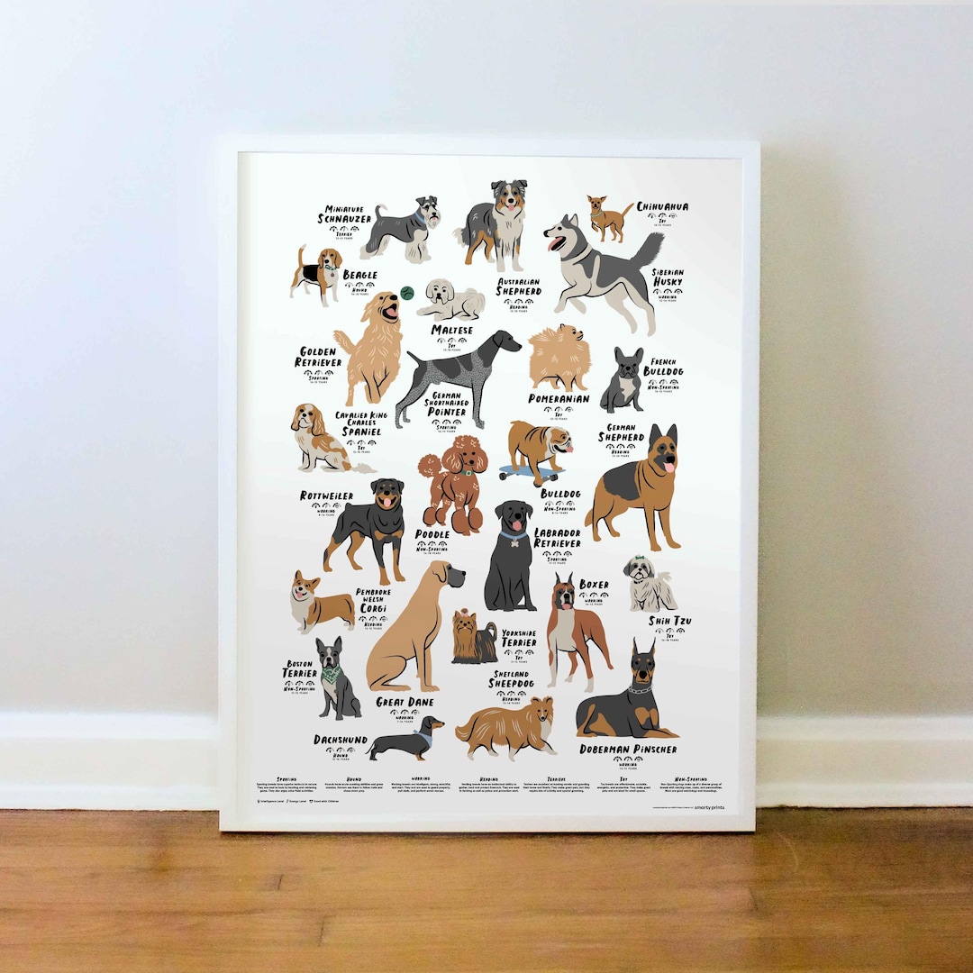 Dog Poster, Illustrated Dogs, Dog Breeds, Fun Print, Kids Gifts, Gift ...