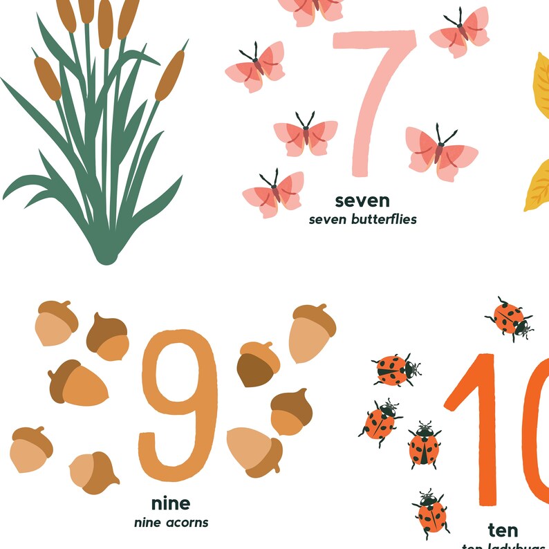 Kids Illustrated Counting Poster Learning Numbers 1-10 | Etsy