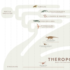 Dinosaur Evolution Poster, Paleontology Print, Dinosaur Décor ...