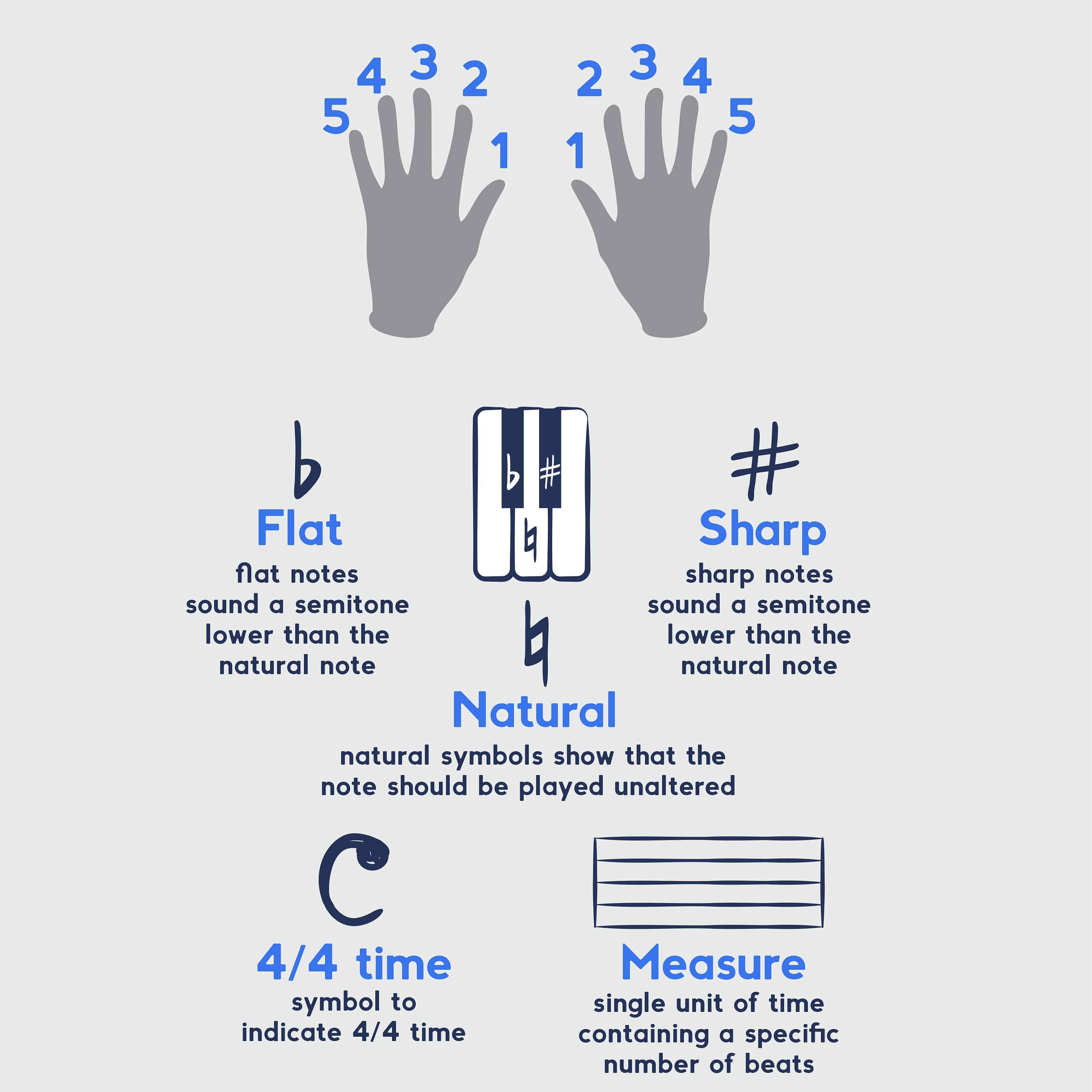 Piano Music Theory Poster Music Wall Art Beginner Piano | Etsy