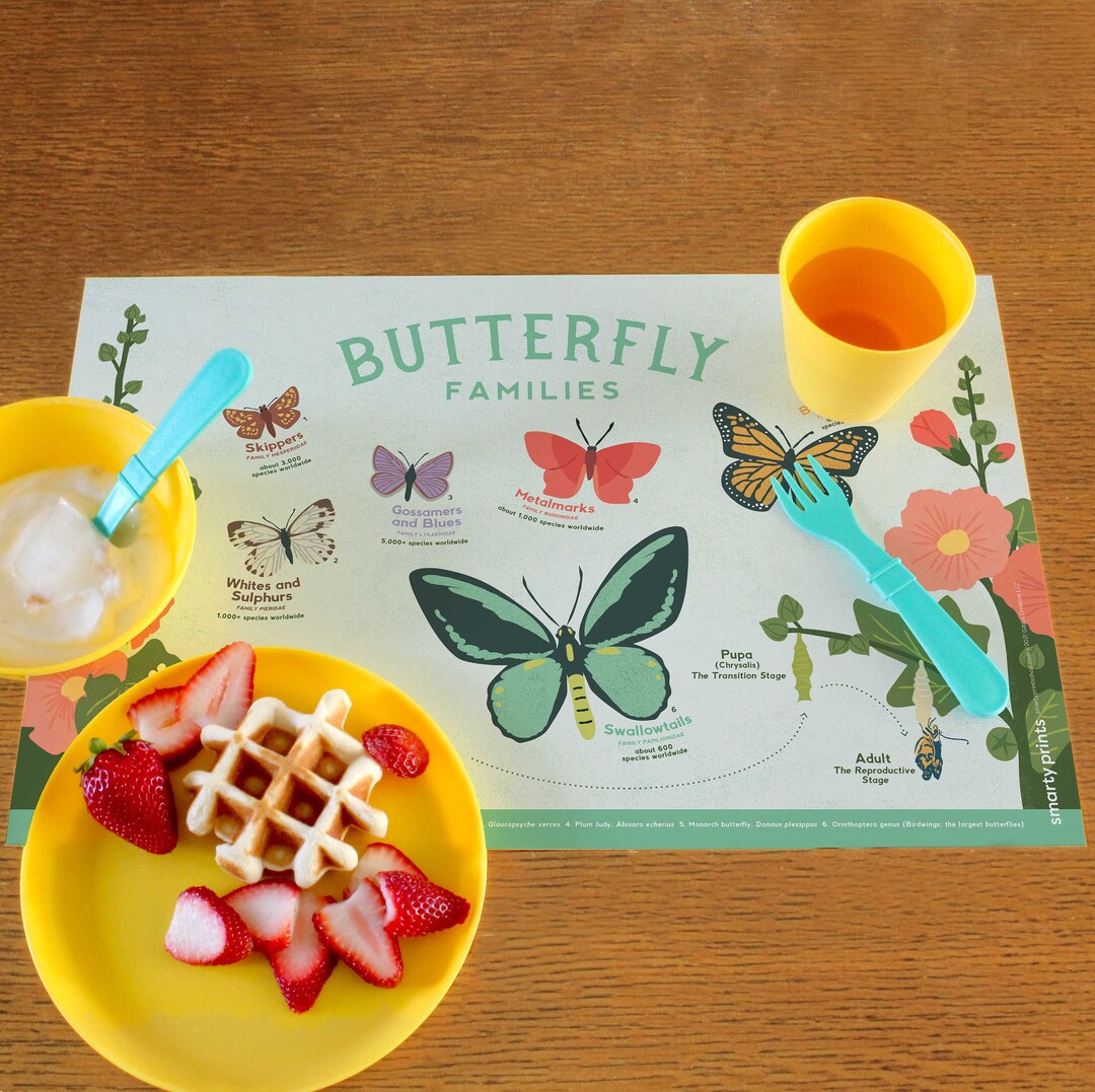Butterfly Families and Species Printable Placemat, Butterfly ...