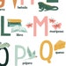 Spanish Alphabet Poster Espanol Alfabeto Playroom Wall Art - Etsy