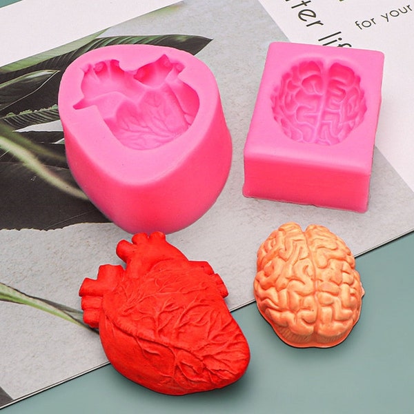 Human Heart Mold - Etsy